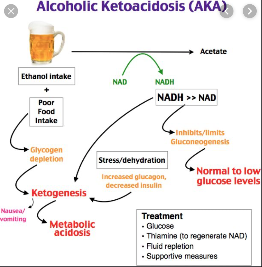 Deep Dive – Alcoholic Ketoacidosis – AOMC FOAMed