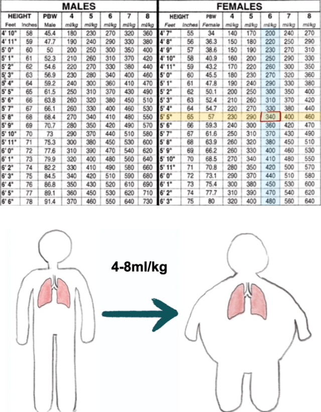 Troubleshooting the Ventilator – AOMC FOAMed